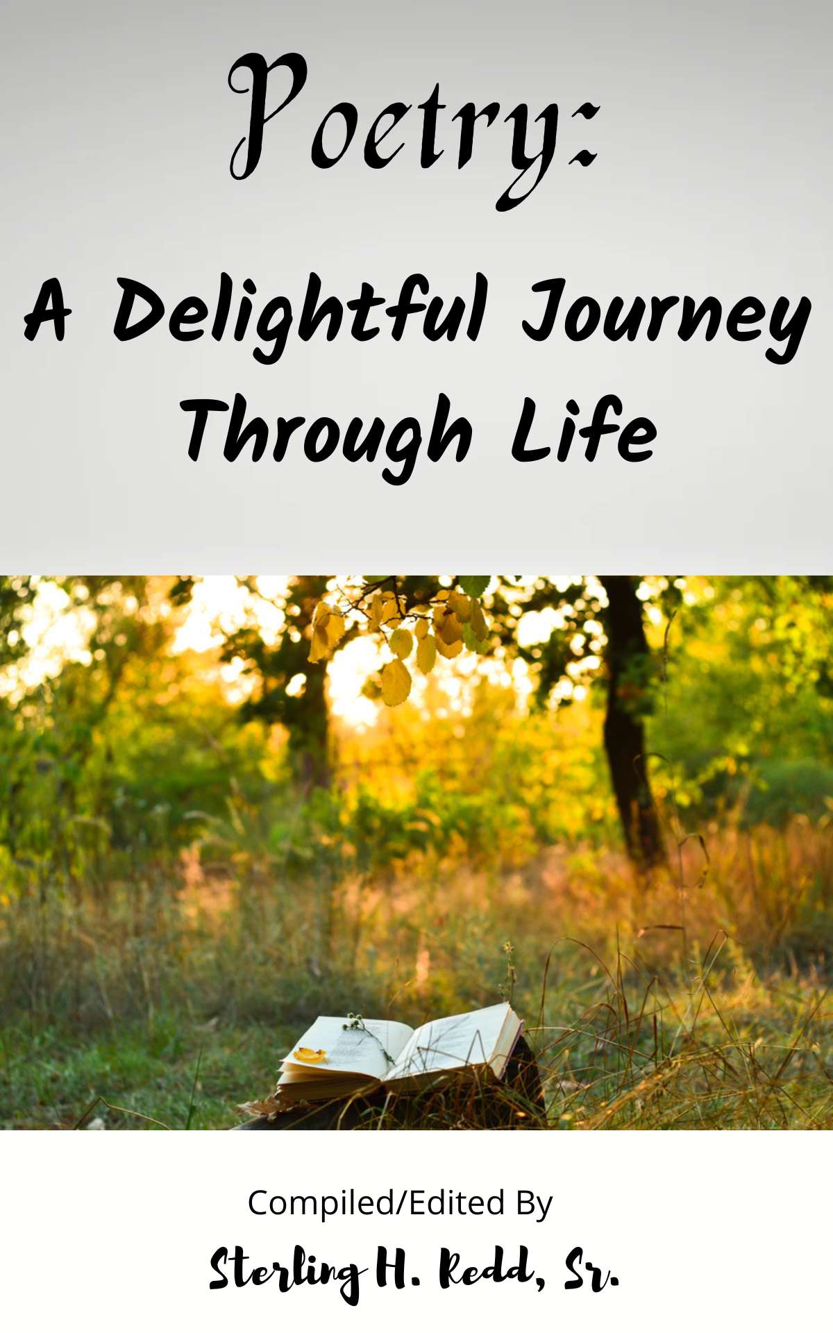 Poetry - The Scripture Keys
